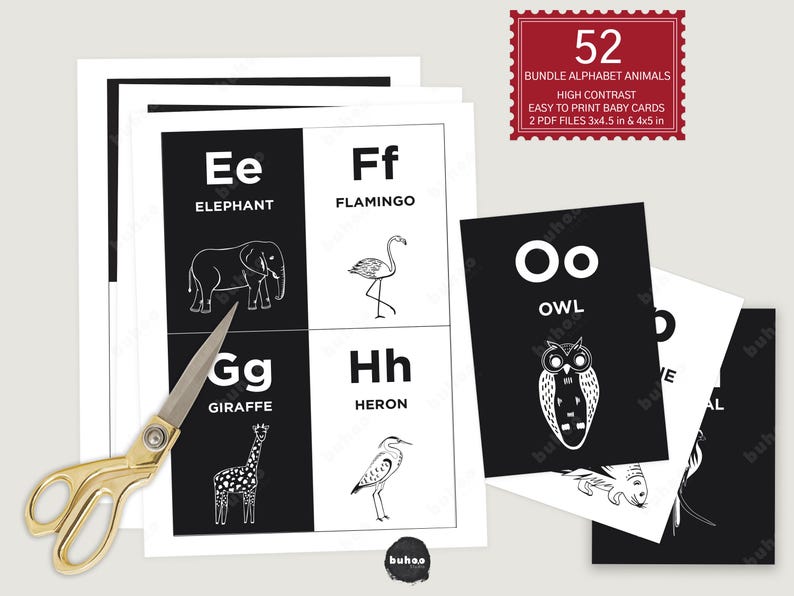 Bundle Animal Alphabet English - English Flash Cards | ABC Learning ...