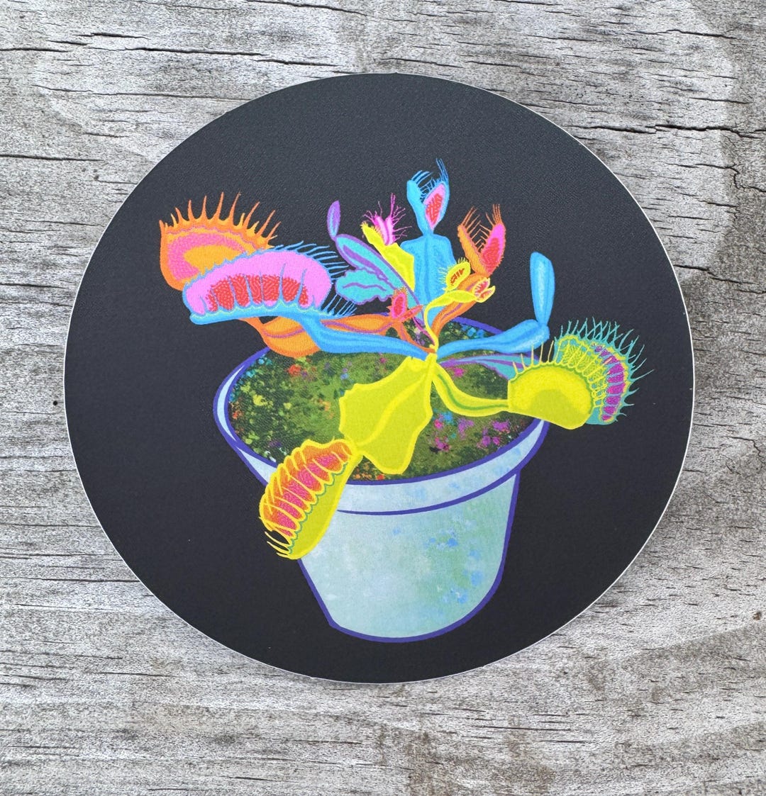 3" Venus Fly Trap Circle Sticker - Etsy