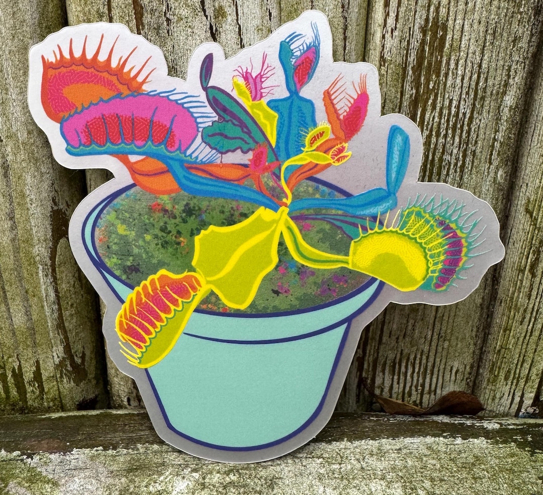 Medium Bold Colorful Venus Fly Trap Sticker - Etsy