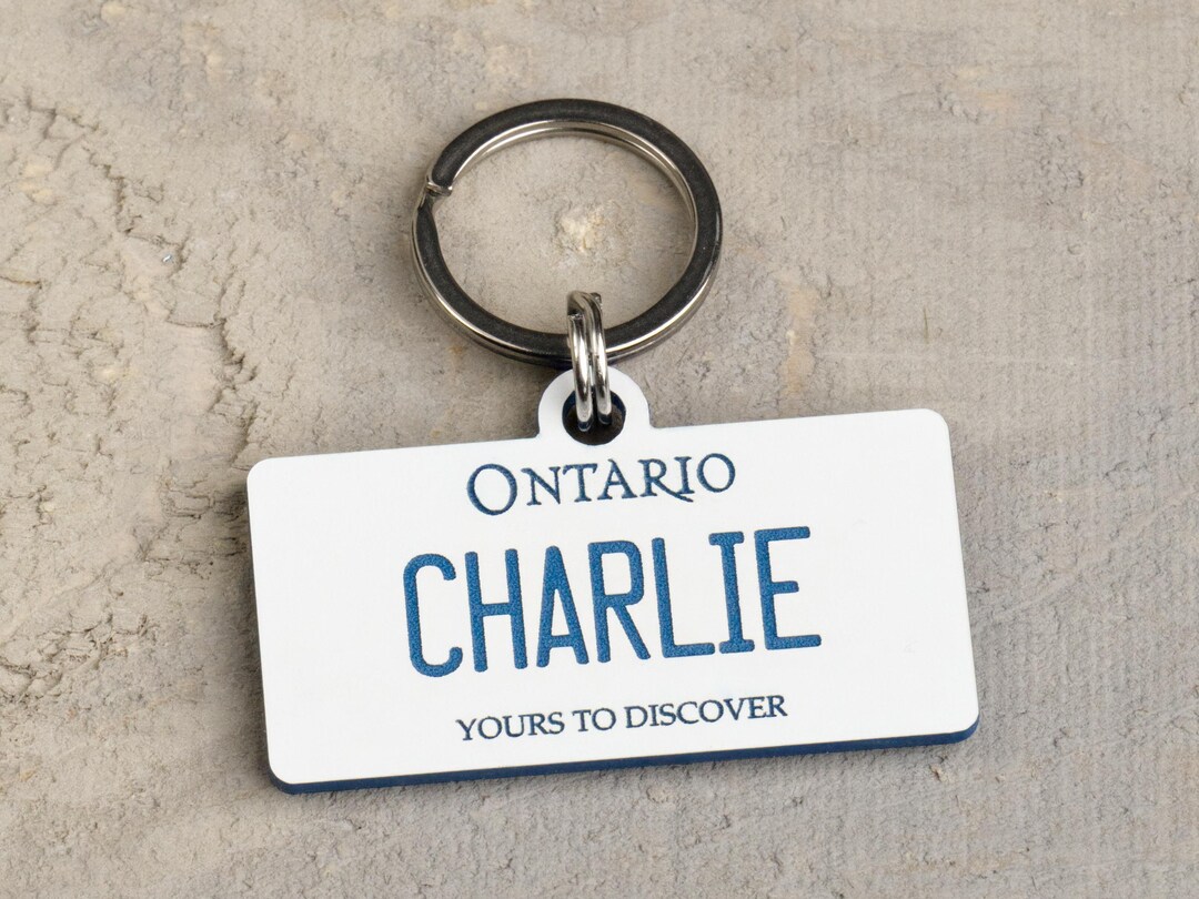 Personalized Miniature Ontario Licence Plate Pet Tags - Acrylic, Split ...