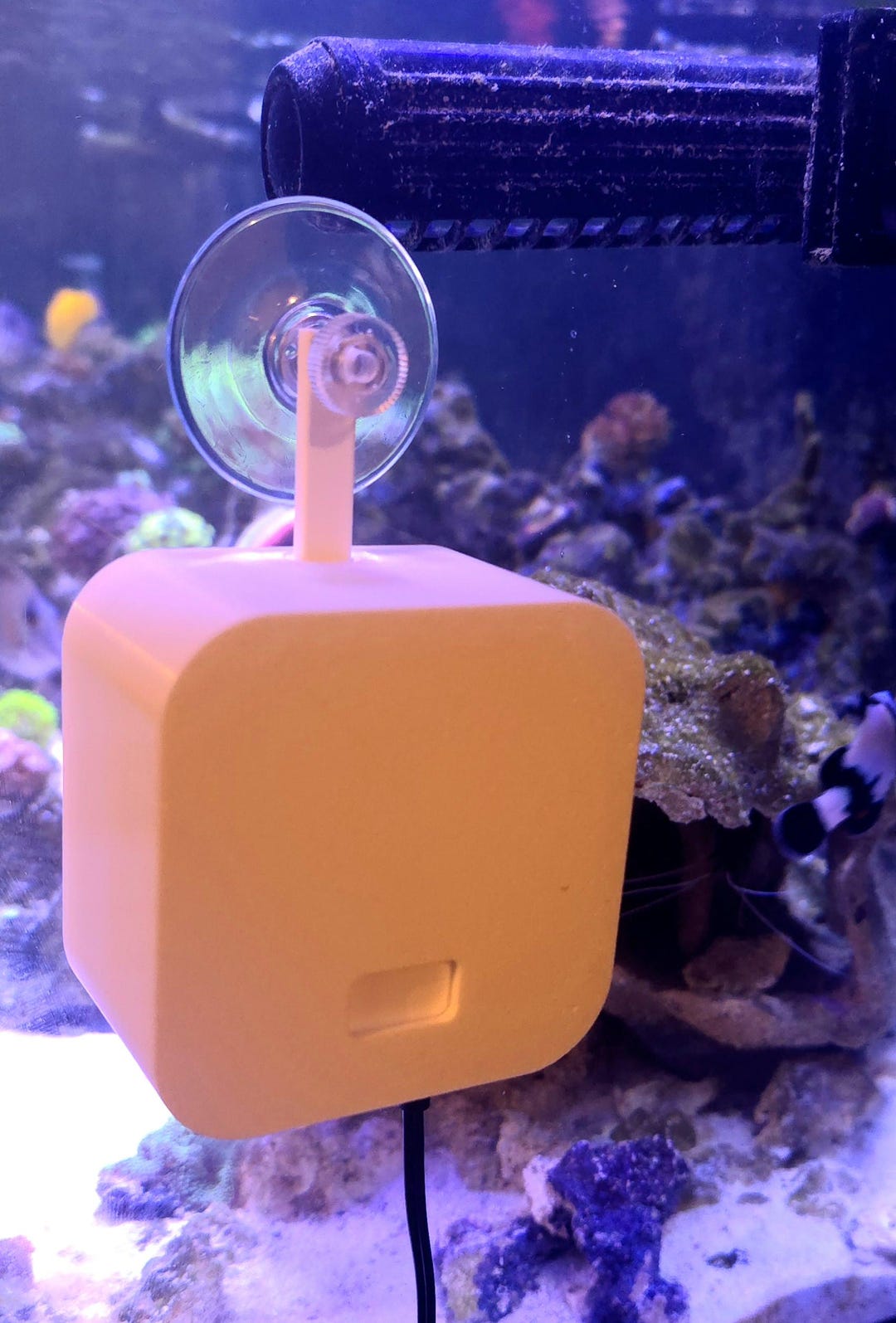 TP Link/blink Cam Caddy Aquarium & Pet Security Camera Mount/holder - Etsy