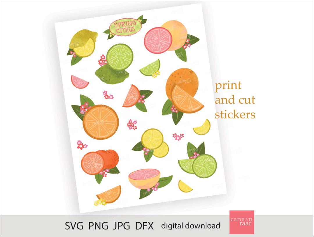 Printable Citrus Sticker Sheet: Minimalist Fruit Stickers (digital ...