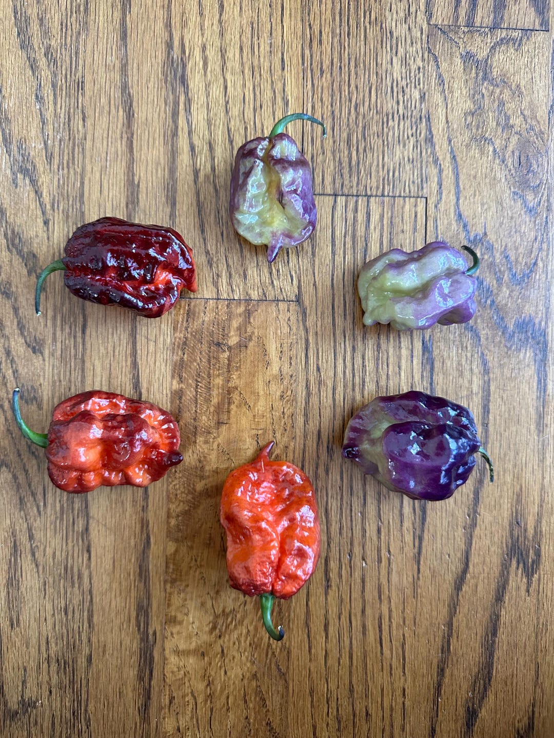 ORION Super Hot Pepper Seeds - Etsy