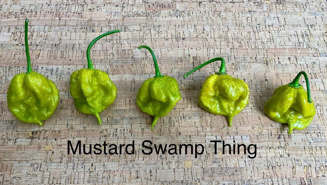 Mustard Swamp Thing Super Hot Pepper Seeds - Etsy