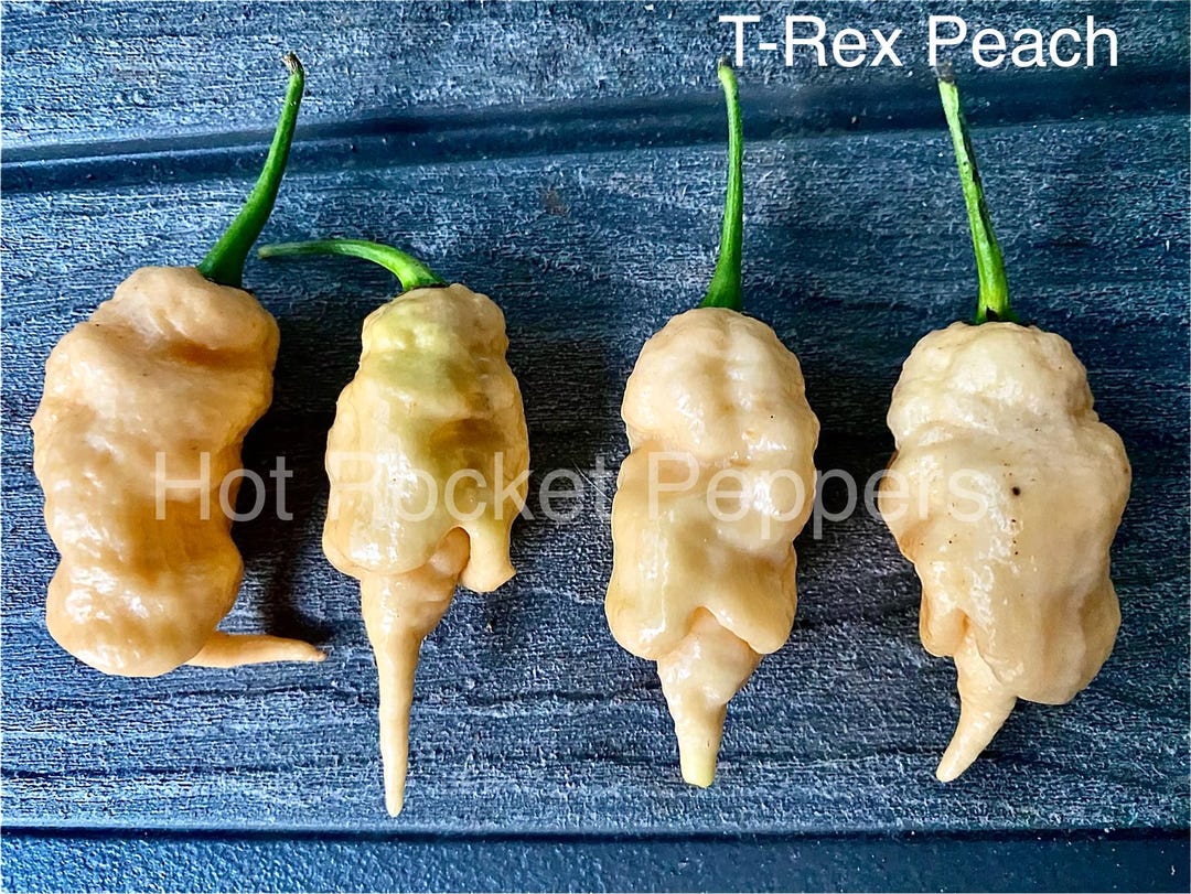 T.rex Peach Super Hot Pepper Seeds - Etsy