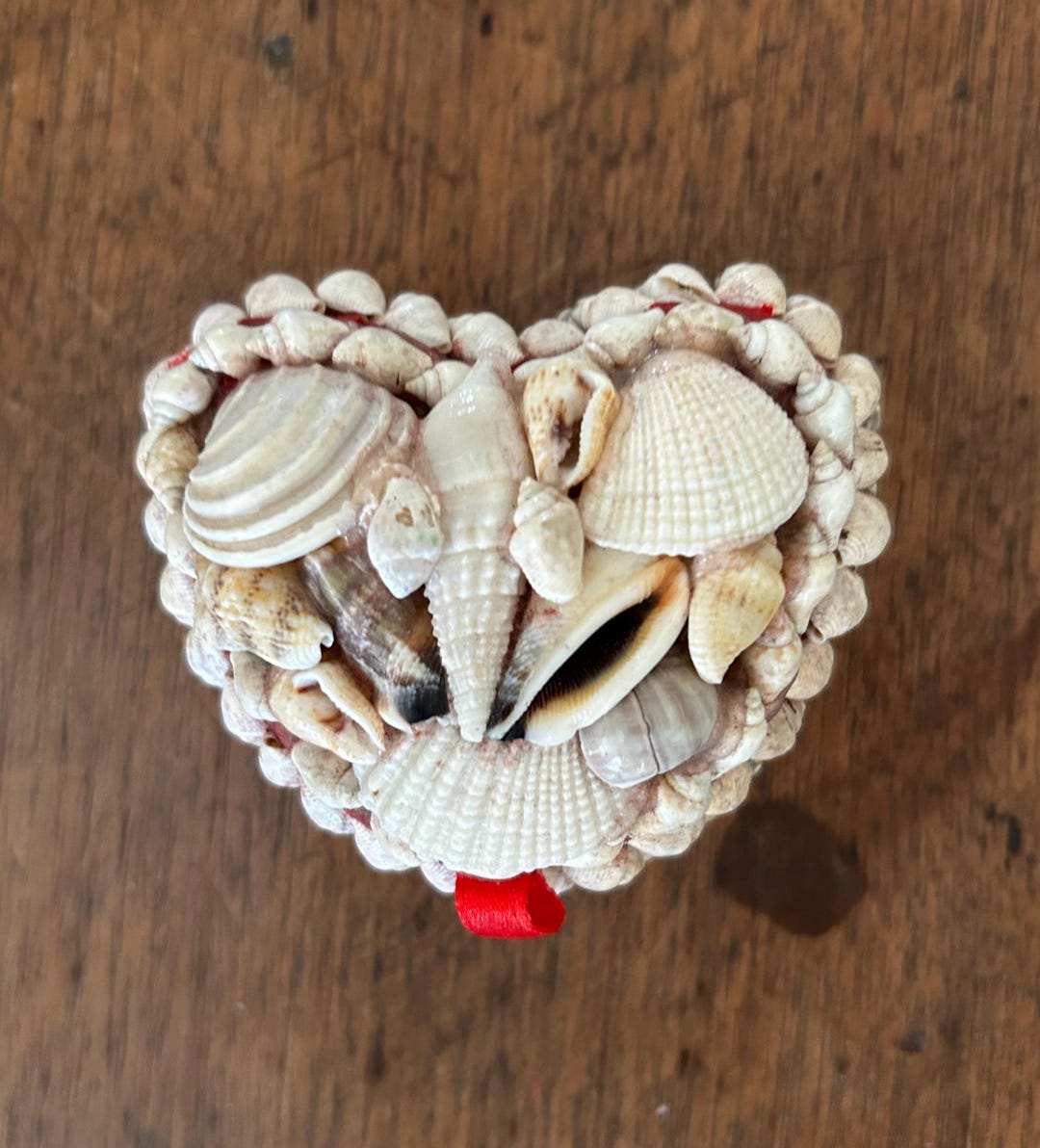 Tiny Seashell Box - Etsy