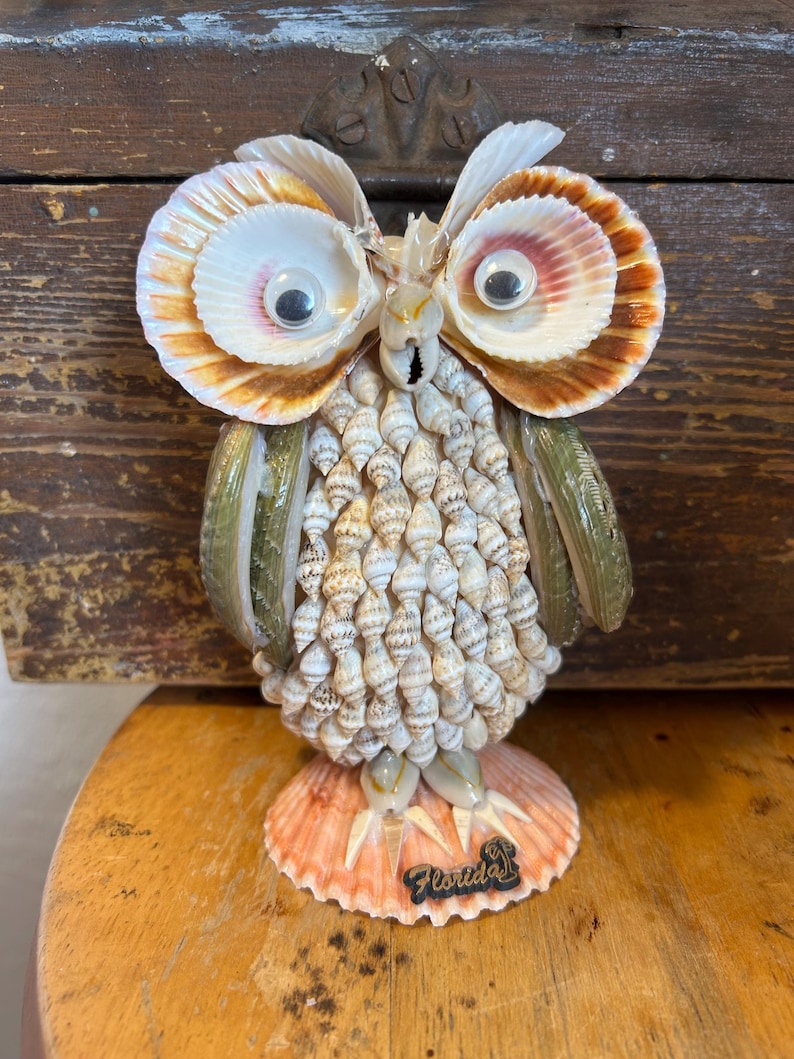 Seashell Souvenir Owl, Seashell Art, Vintage Shell Art, Owl Collectors ...