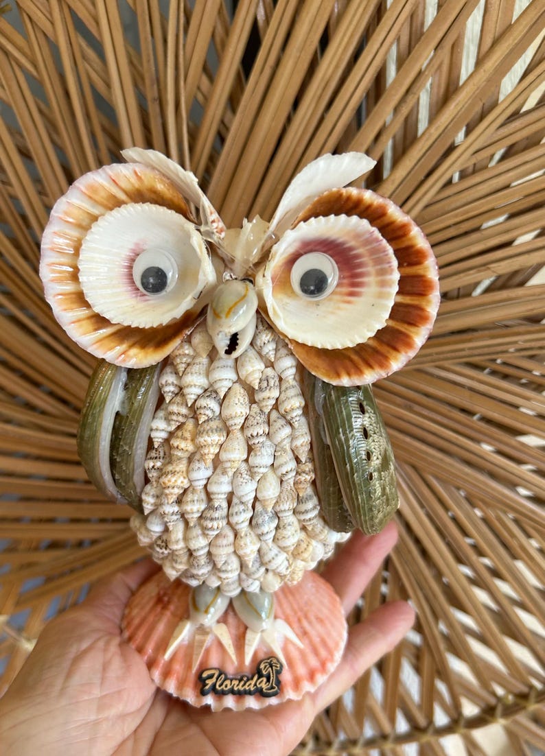 Seashell Souvenir Owl, Seashell Art, Vintage Shell Art, Owl Collectors ...