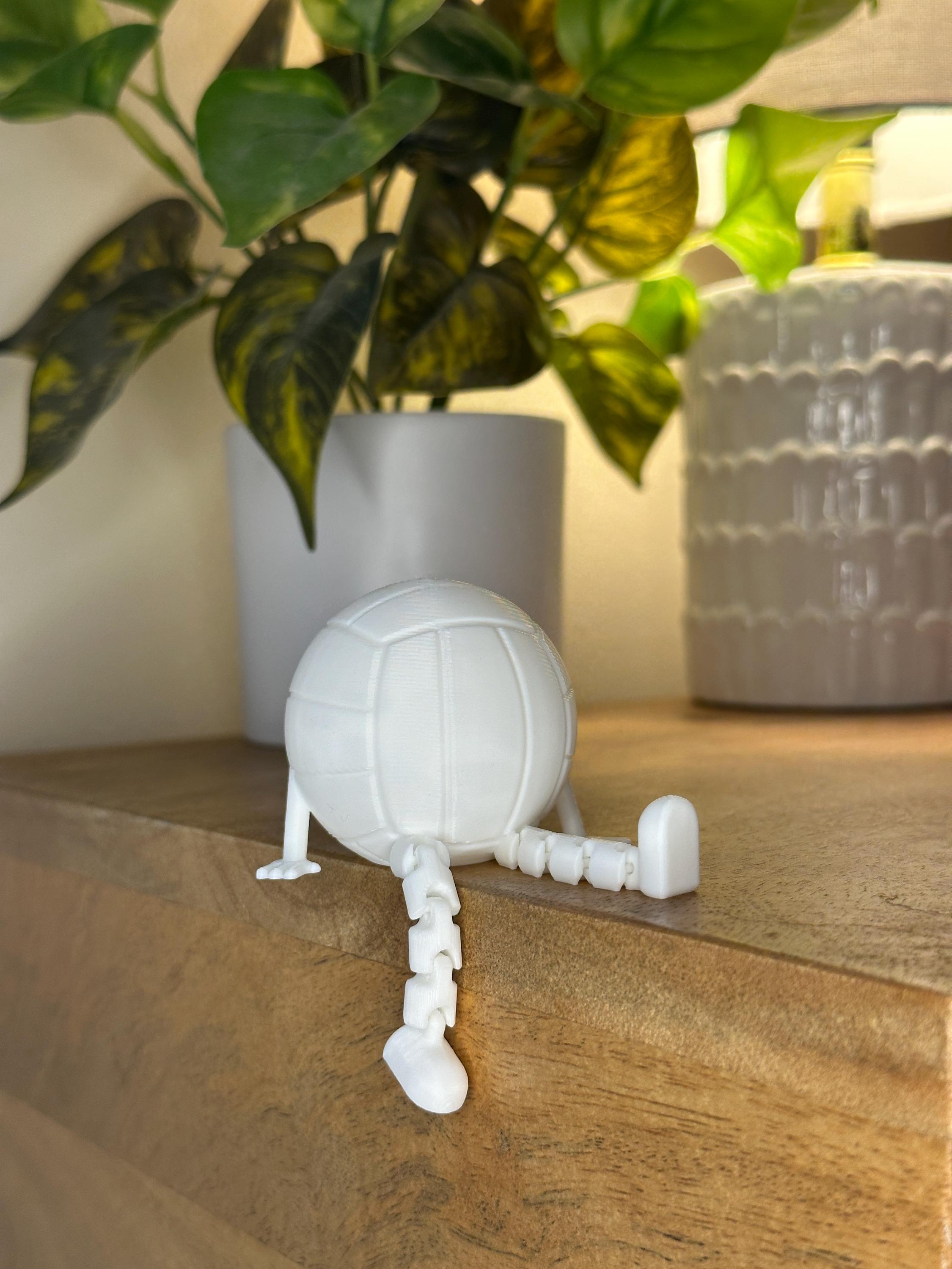 Volleyball Desk Decor - Volleyball Buddy - Fun Volleyball Gift - Etsy