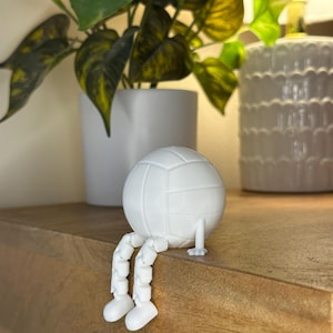 Volleyball Desk Decor - Volleyball Buddy - Fun Volleyball Gift - Etsy