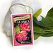 Wild Rose Seeds Alaskan Wildflower Seed Packet Wedding Favor Pink ...
