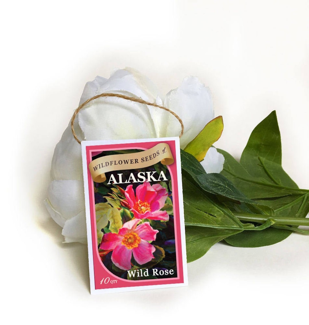 Wild Rose Seeds Alaskan Wildflower Seed Packet Wedding Favor- Pink ...