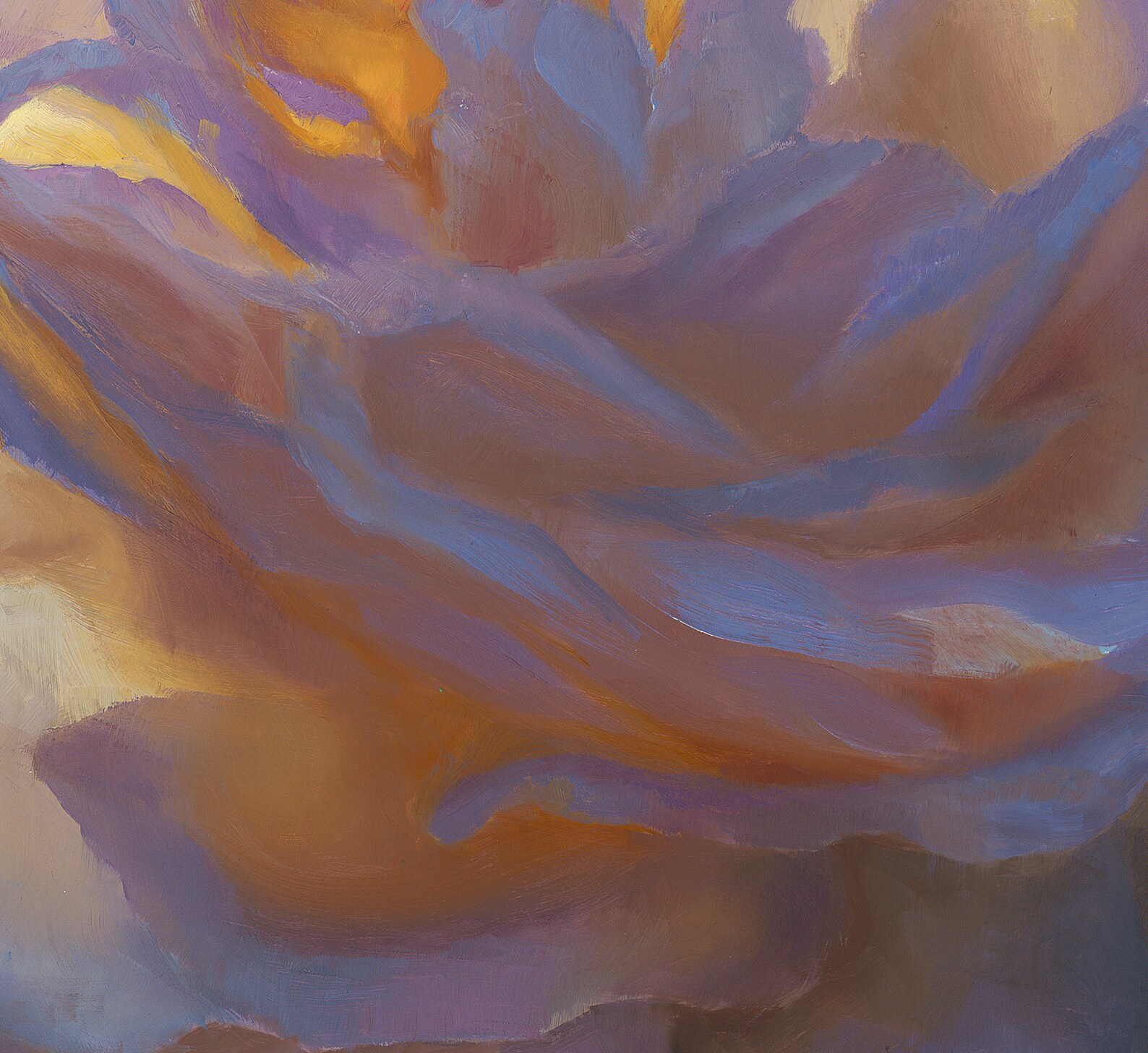 English Rose Wall Art Print of White Flower a Floral Themed | Etsy