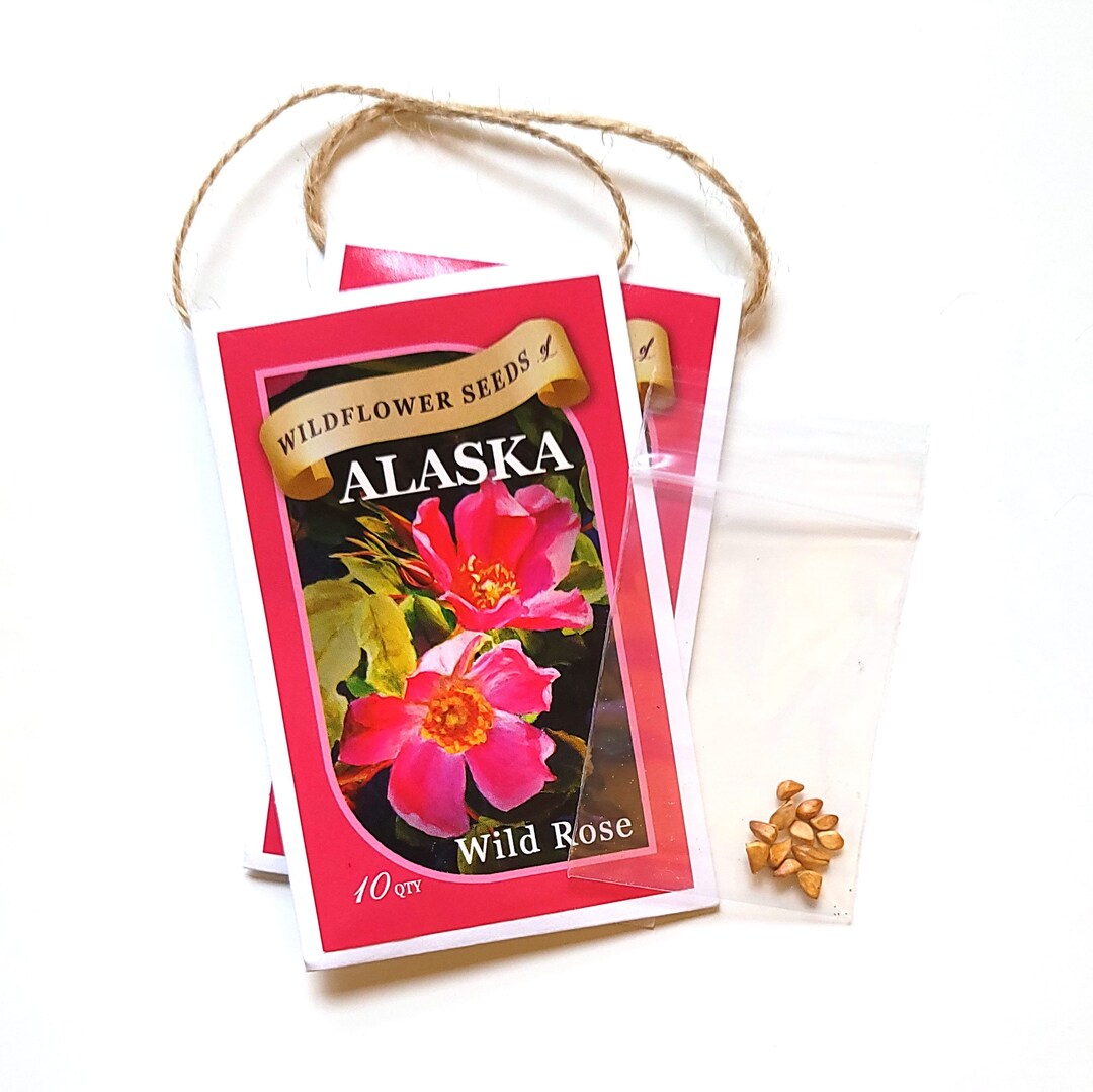 Wild Rose Alaska Wildflowers Wedding Favors Seed Packets - Etsy