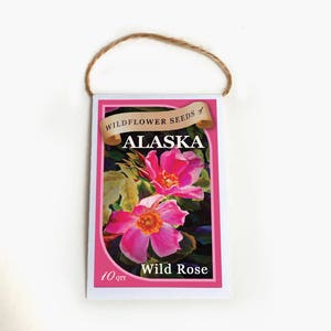 Wild Rose Seeds Alaskan Wildflower Seed Packet Wedding Favor- Pink ...
