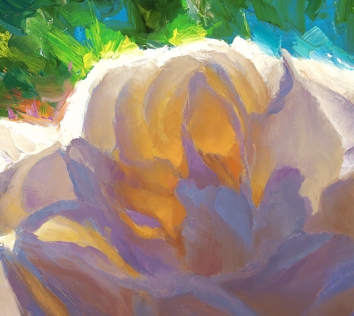 English Rose Wall Art Print of White Flower a Floral Themed | Etsy