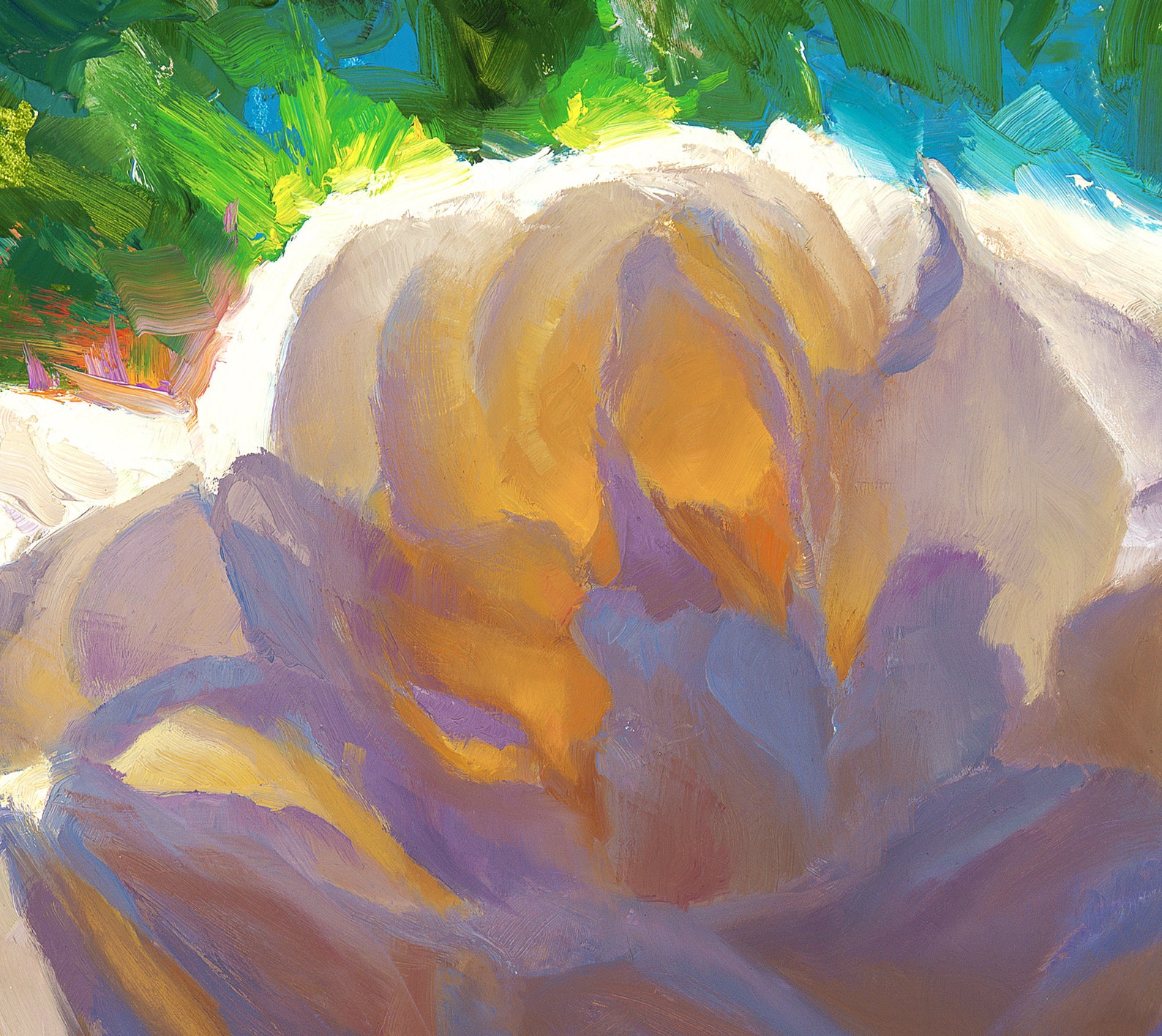 English Rose Wall Art Print of White Flower a Floral Themed | Etsy