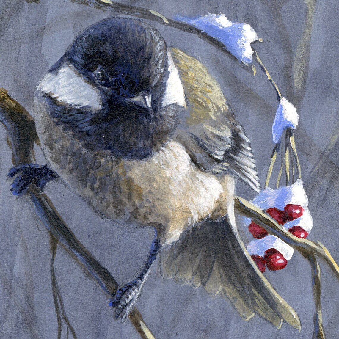 Winter Chickadee Bird Greeting Cards Christmas Cards and - Etsy