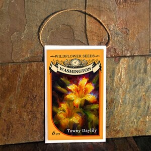 Tawny Daylily-tiger Lilies-seed Packets-wedding - Etsy