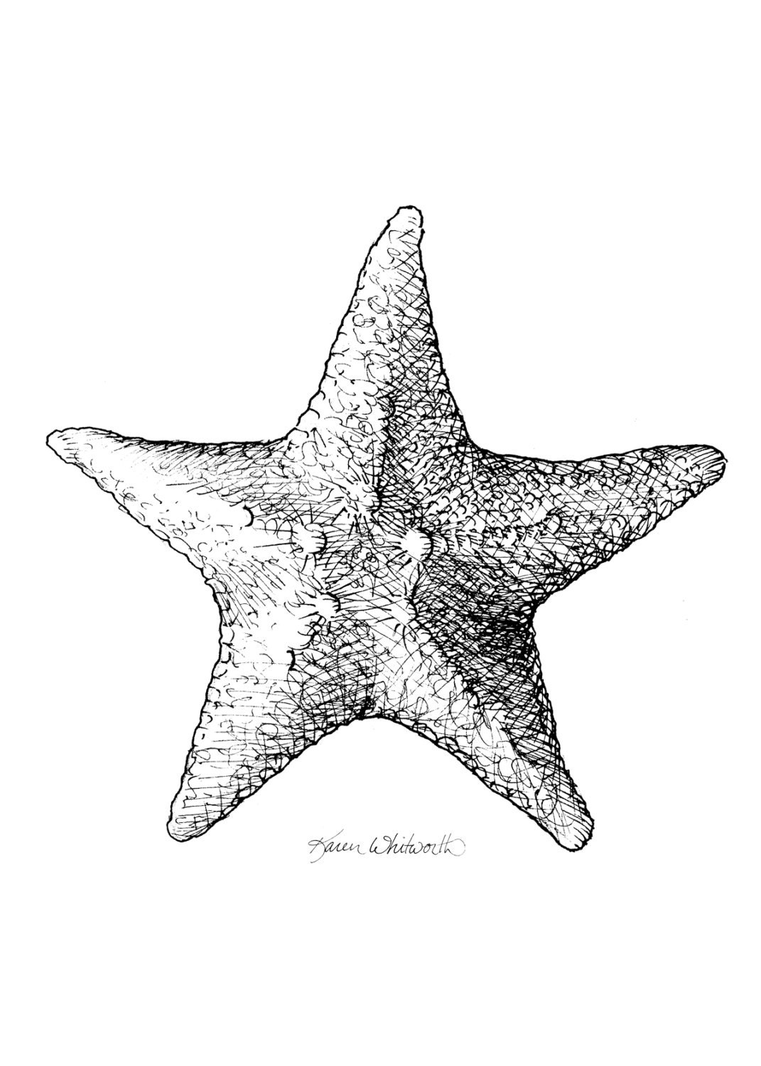 Star Fish Drawing