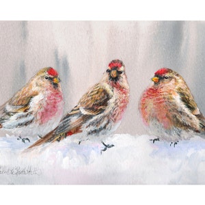 Winter Birds in the Snow Blank Greeting Card Blank Holiday Christmas ...