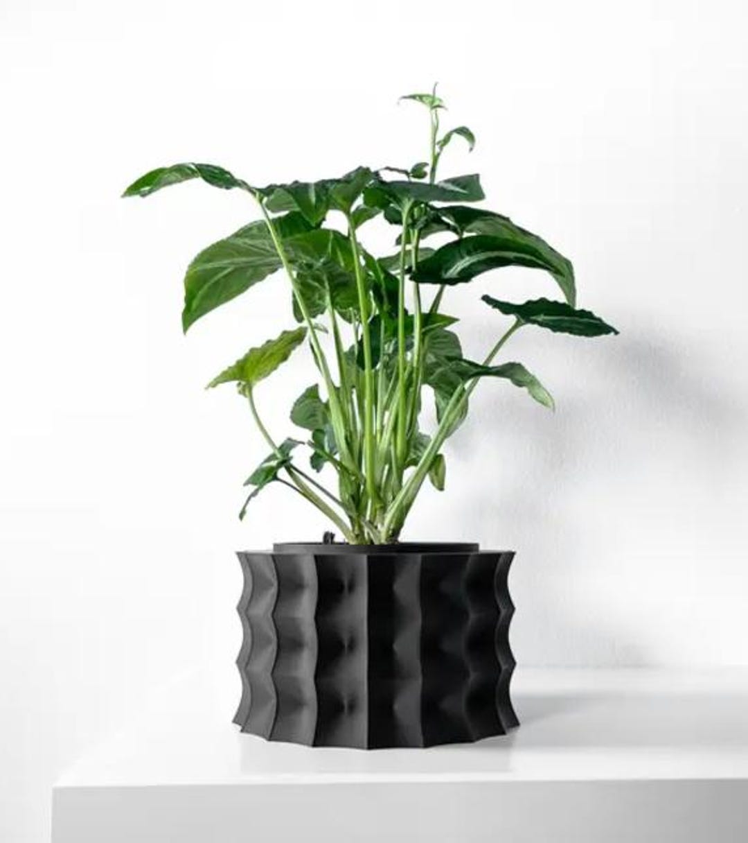 Unique 3D Printed Planter/flower Pot With Drainage Holes, & Drip Tray ...