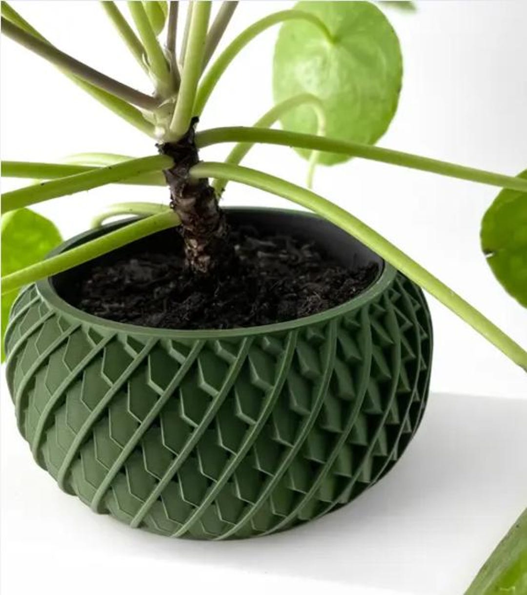 Unique 3D Printed Planter/flower Pot With Drainage Holes, & Drip Tray ...