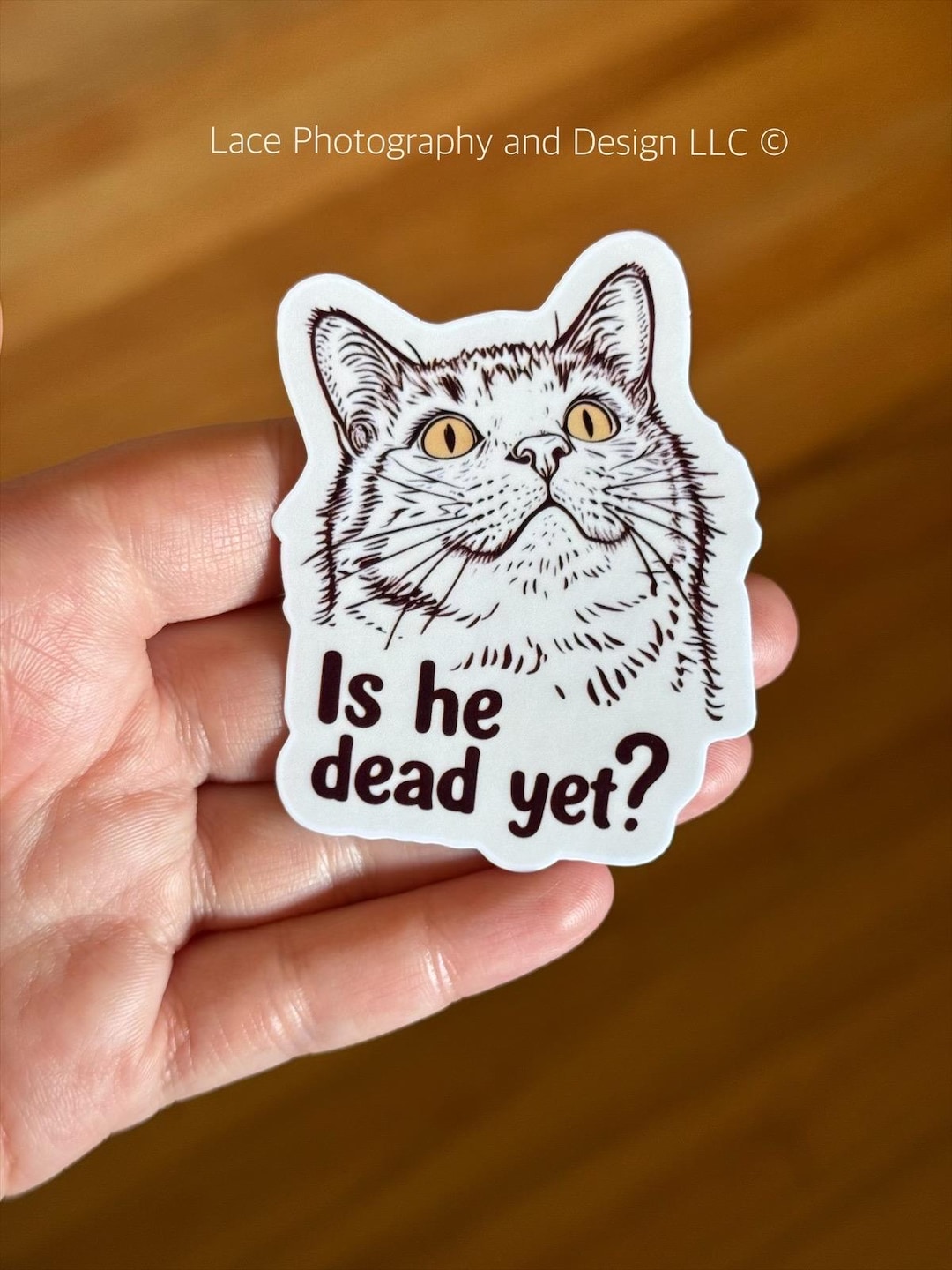 Is He Dead Yet? Cat Sticker | Political Humor, Dark Humor, Not My ...