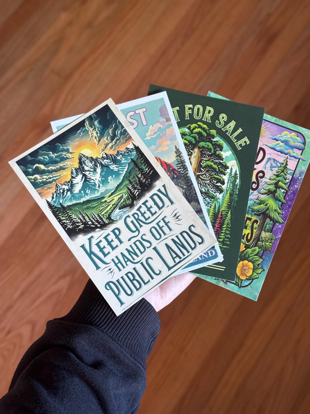 Protect National Parks Postcards | Activist Postcards, Fund Parks Not ...