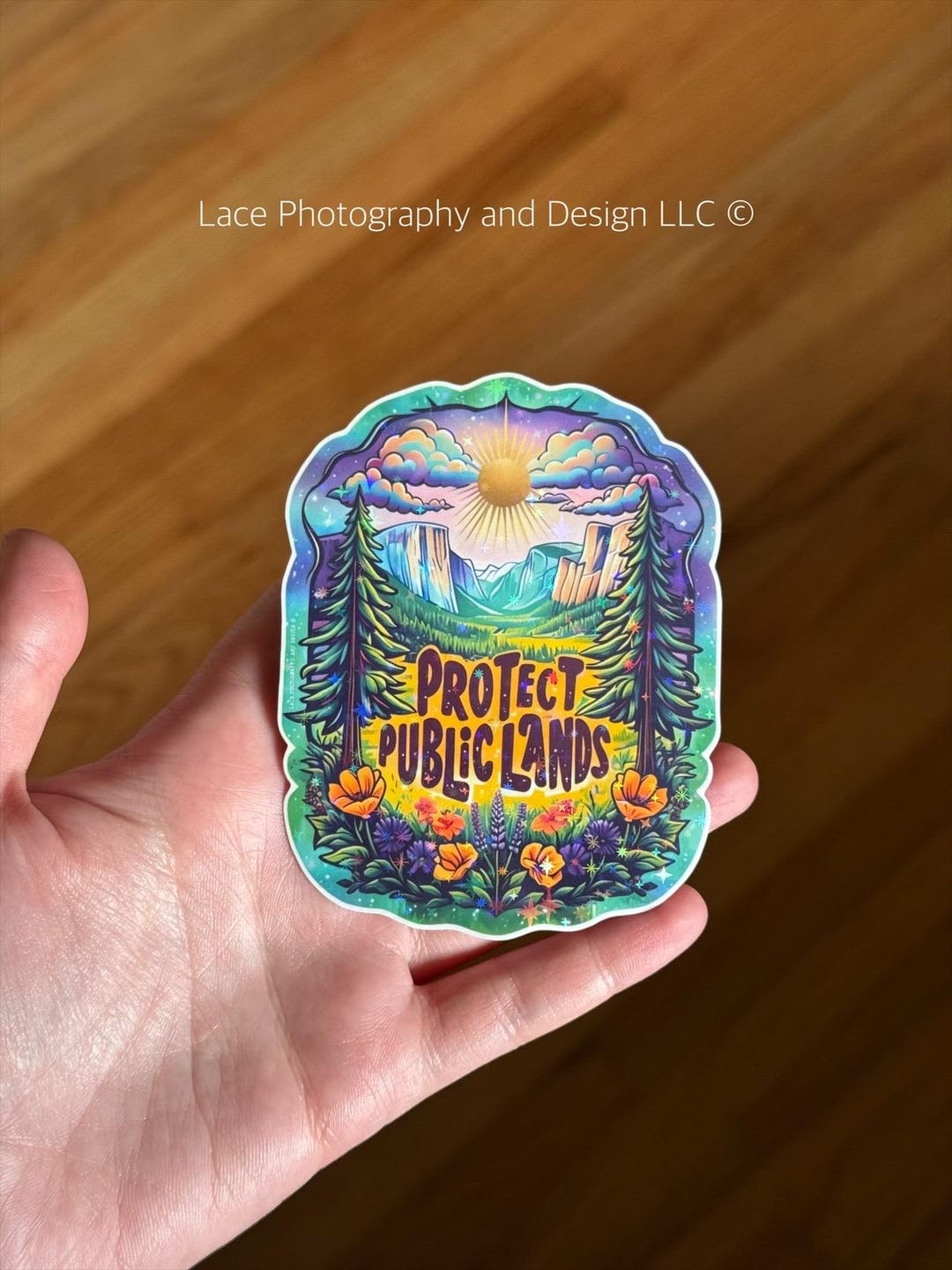 Yosemite Protect Public Lands Sticker | Anti Trump, Anti Elon, Anti ...