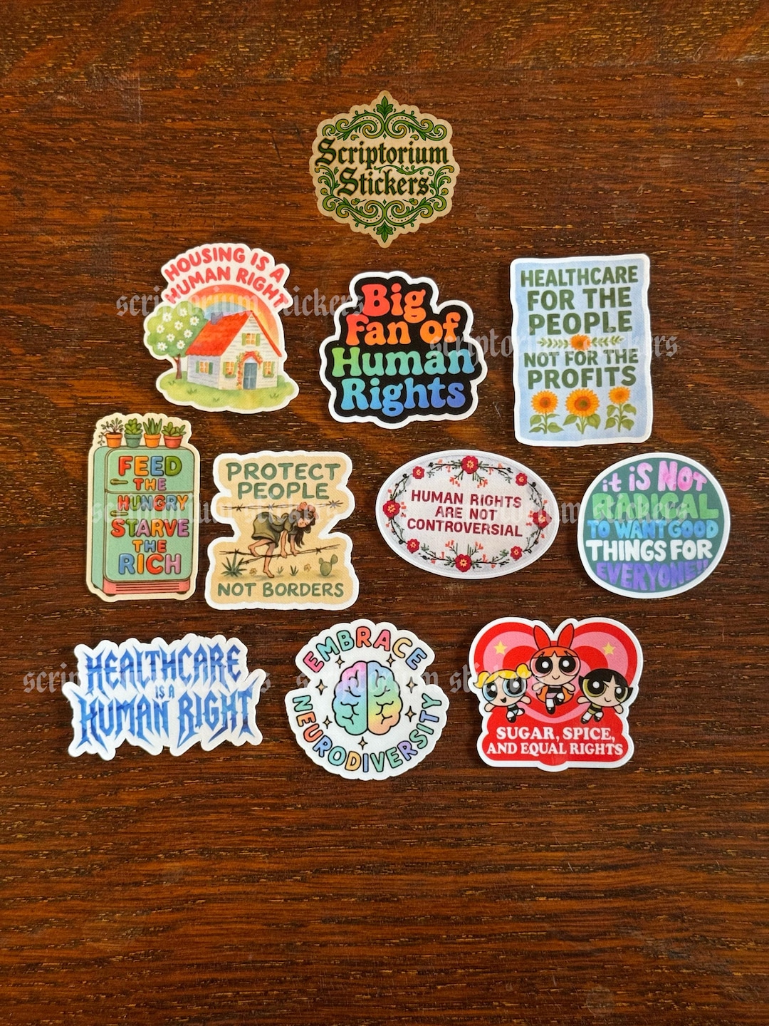 10pc Human Rights Mini Sticker Pack | Anti Trump Stickers, Journaling ...