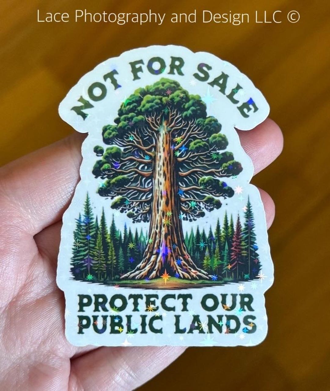 Not for Sale - Protect Our Public Lands Sticker | Anti Trump, Political ...