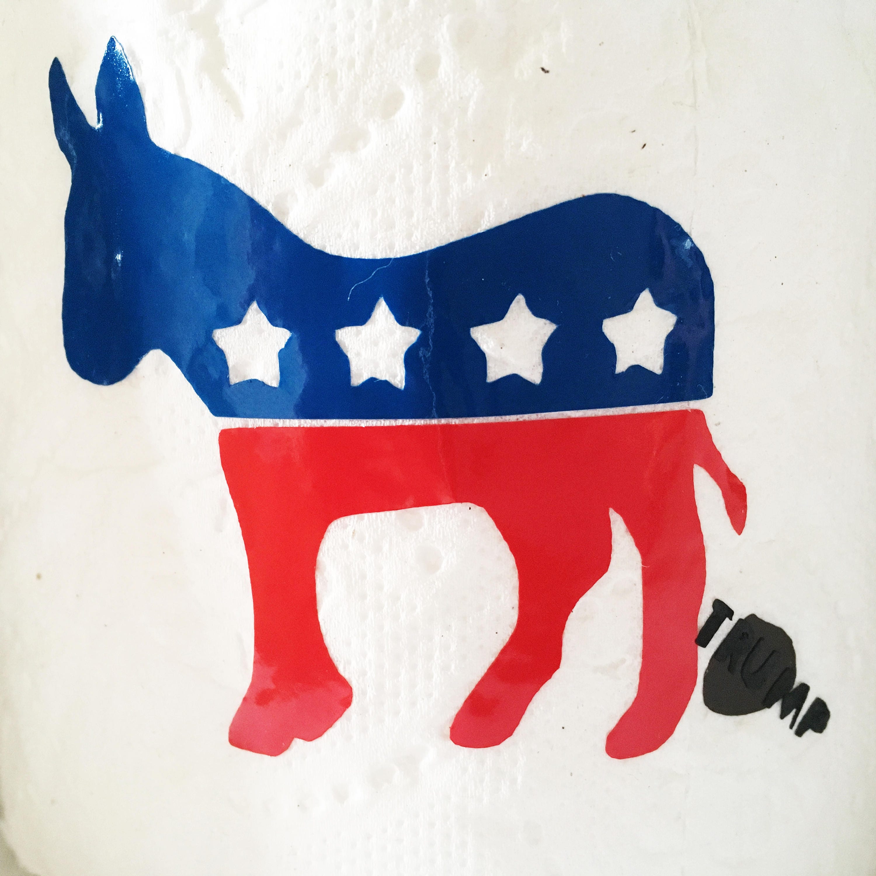 Democrat Toilet Paper Democratic Bathroom Tissue Political - Etsy