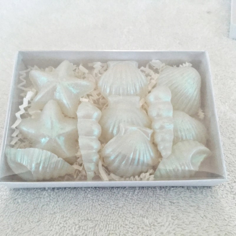 Seashell Favors - Etsy