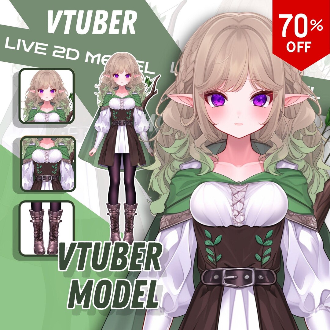 Live2d Vtuber Model Charater Anime Vtuber, Fully Rigged, Vtube Studio ...
