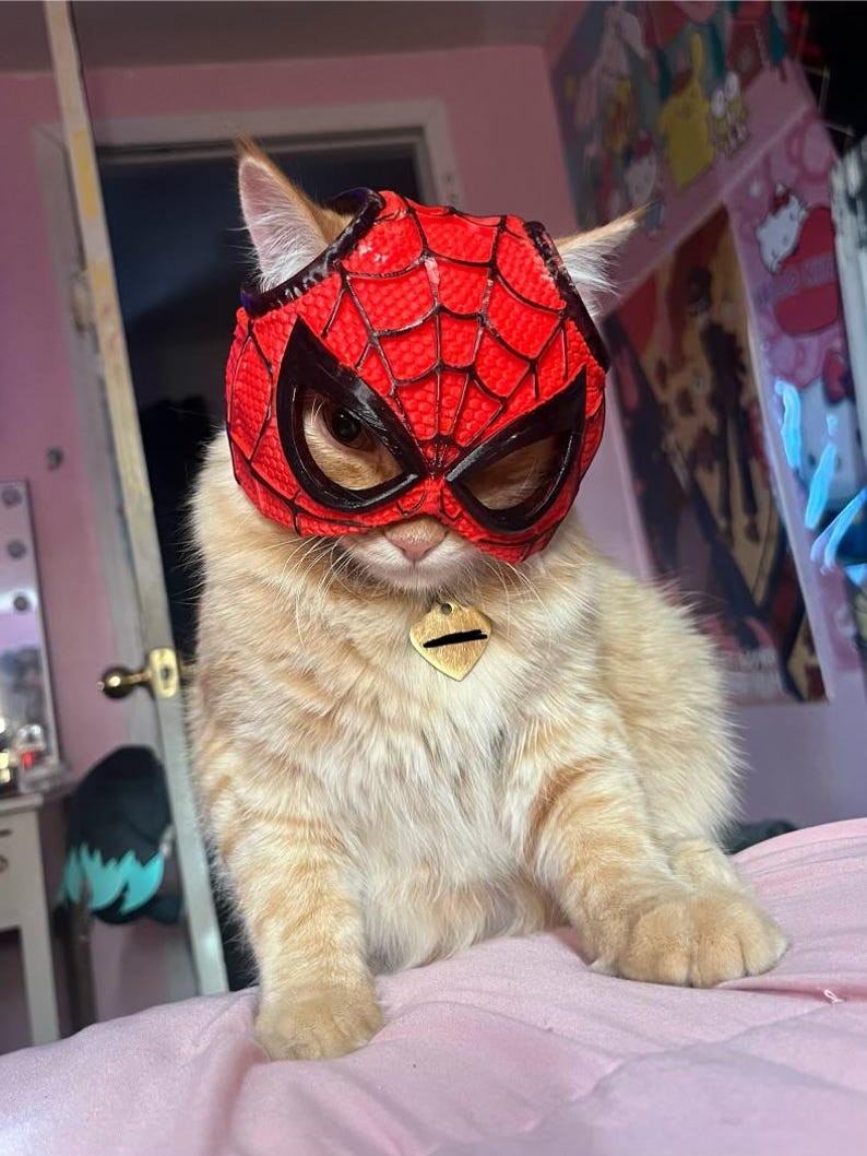Spider-man Cat Mask - Etsy