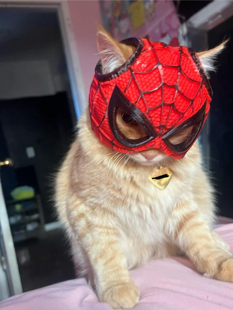 Spider-man Cat Mask - Etsy