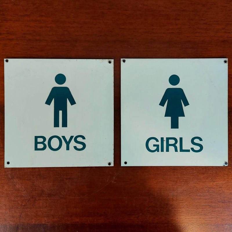 Girls and Boys Restroom Signs - Etsy