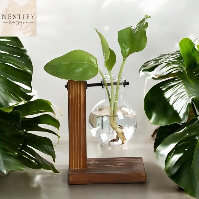 Vintage Terrarium Vase Transparent Glass With Wooden Frame for Home ...