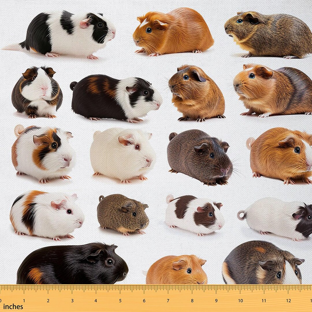 Guinea Pig Polyester Fabric by the Yard, Cute Pet Animal Fabric for ...