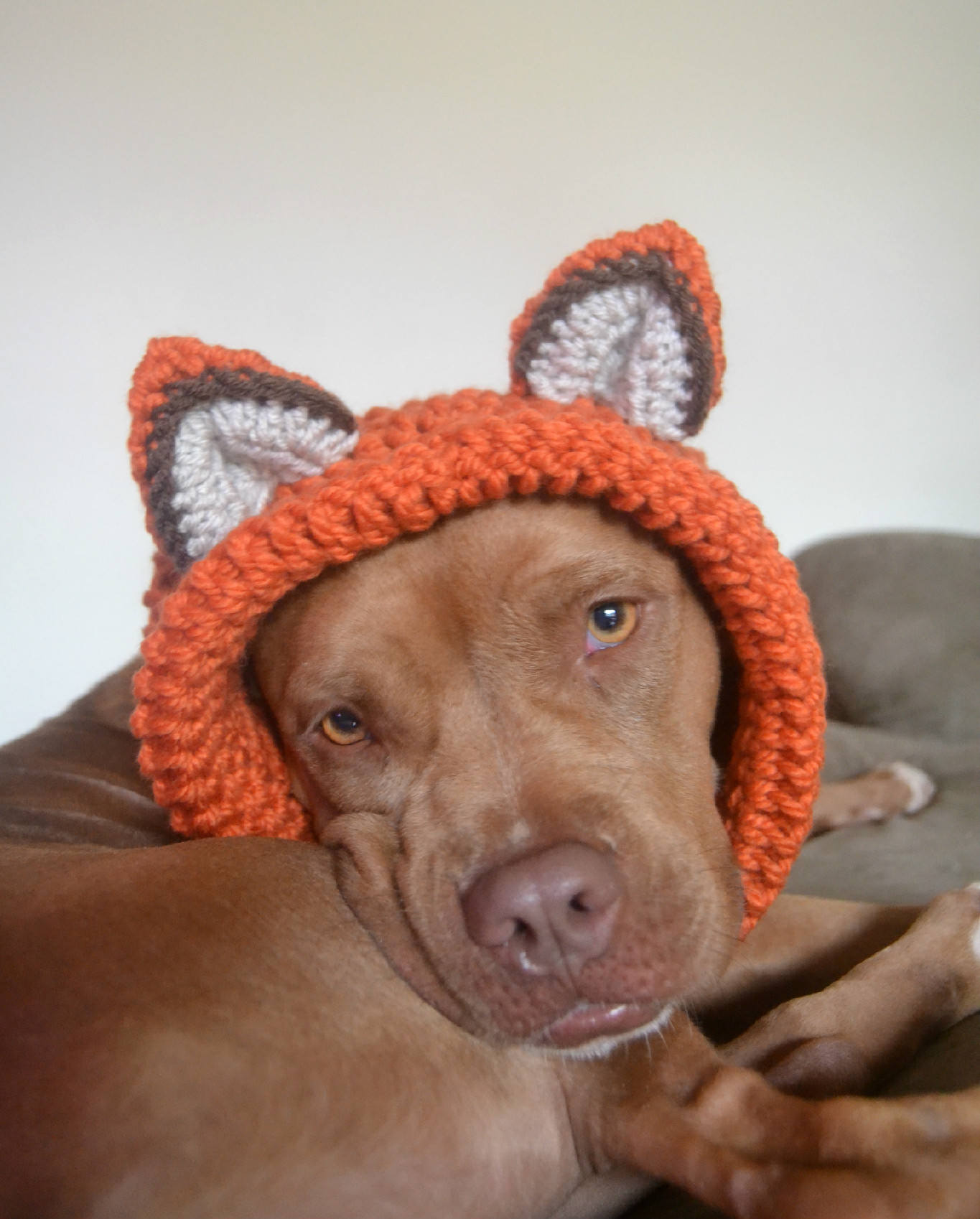 Fox Dog Hat Dog Hat Hats for Dogs Gift for Pet Lovers | Etsy