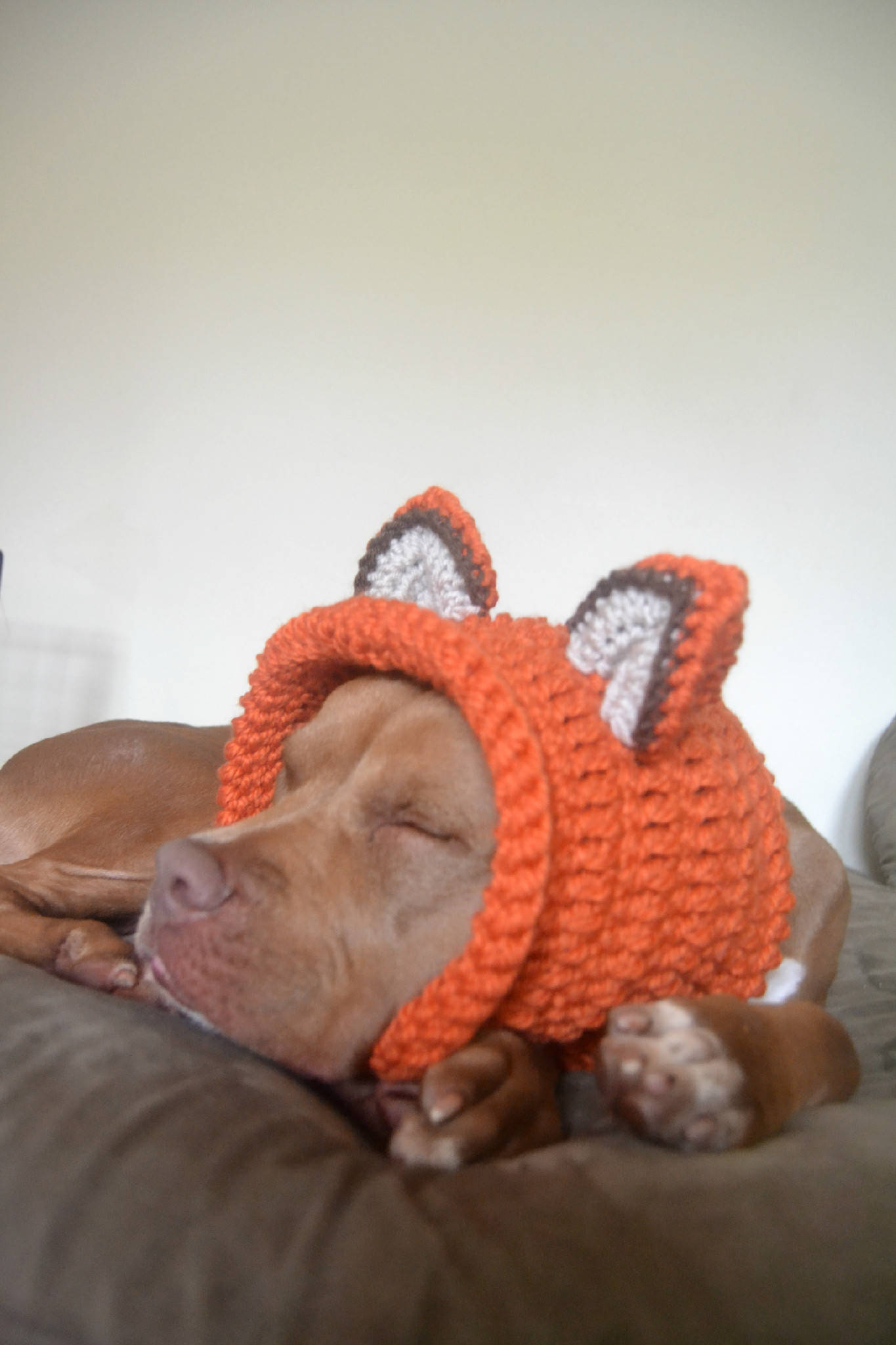 Fox Dog Hat Dog Hat Hats for Dogs Gift for Pet Lovers | Etsy