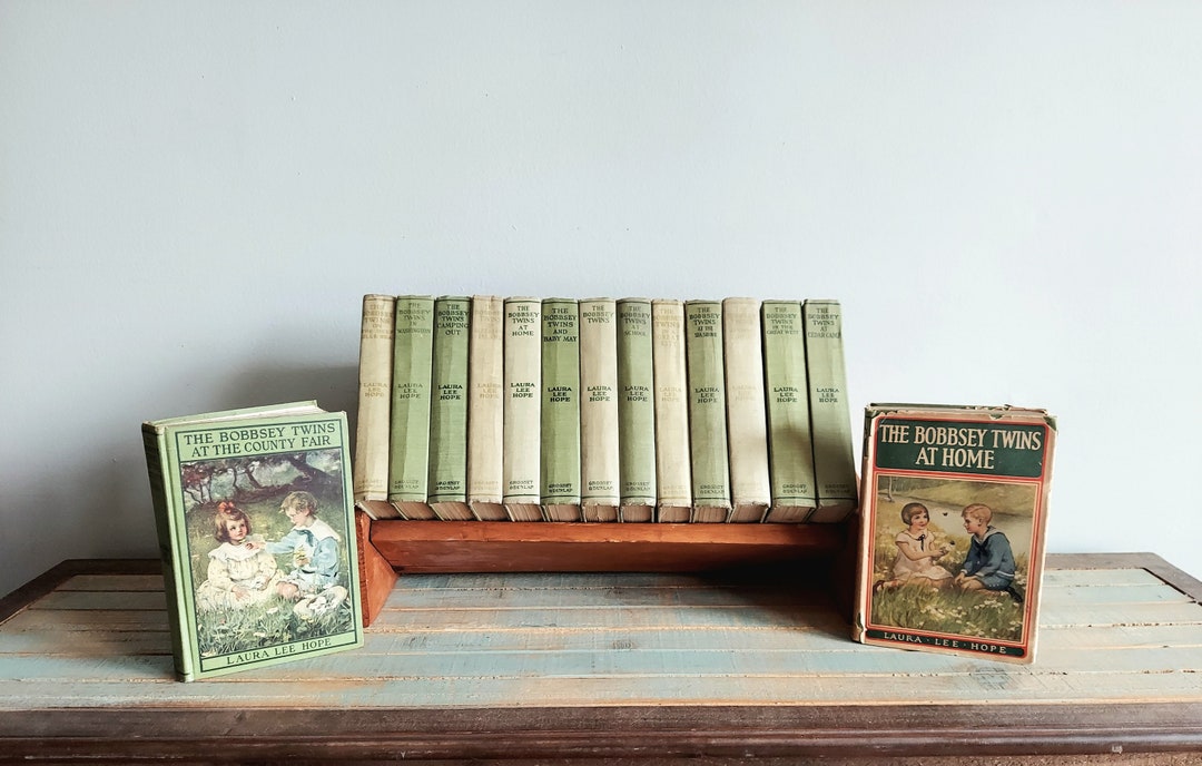 Antique Bobbsey Twins Book Set – Laura Lee Hope, 15 Vintage Books - Etsy