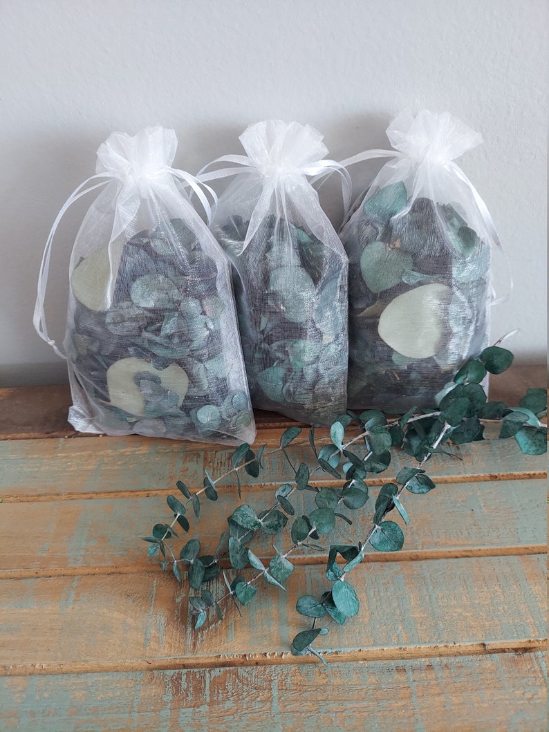 Eucalyptus Sachet - Eucalyptus Shower Hanging - Eucalyptus Bath Hanging ...