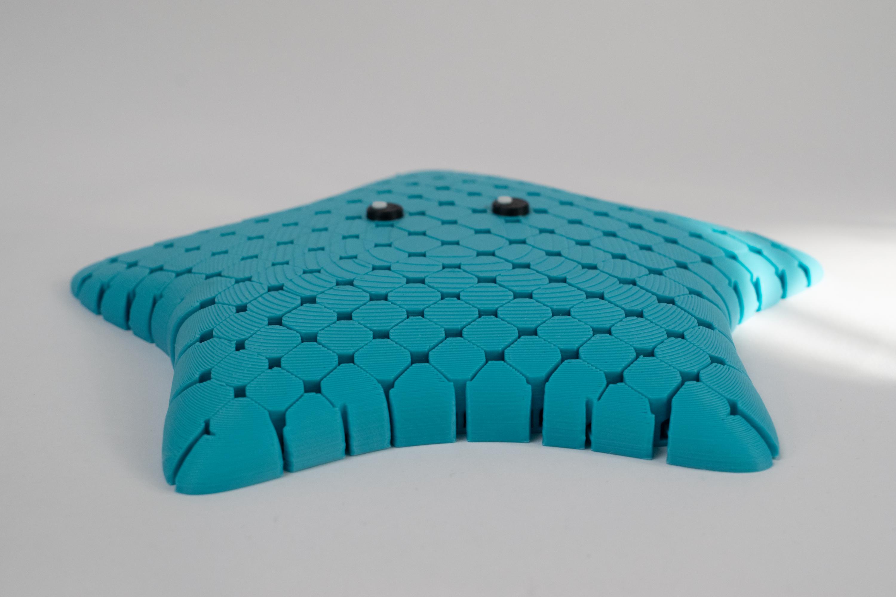Flexi Starfish – Articulated 3D Printed Fidget Toy | Ocean-inspired ...
