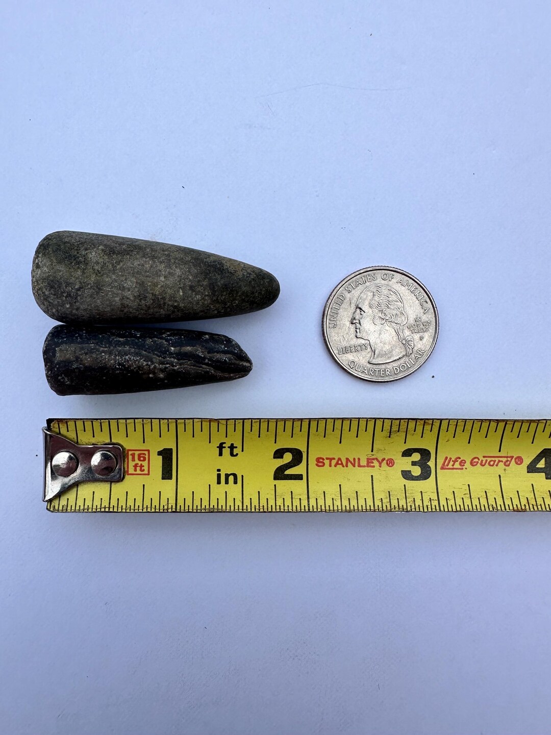 Fossilized Belemnite Guards – Ancient Squid - Etsy