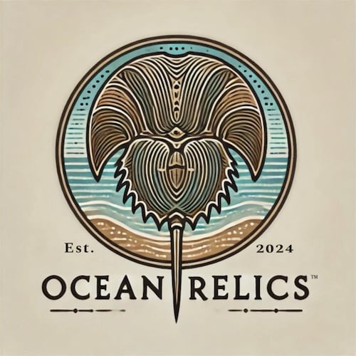 OceanRelicsShop - Etsy