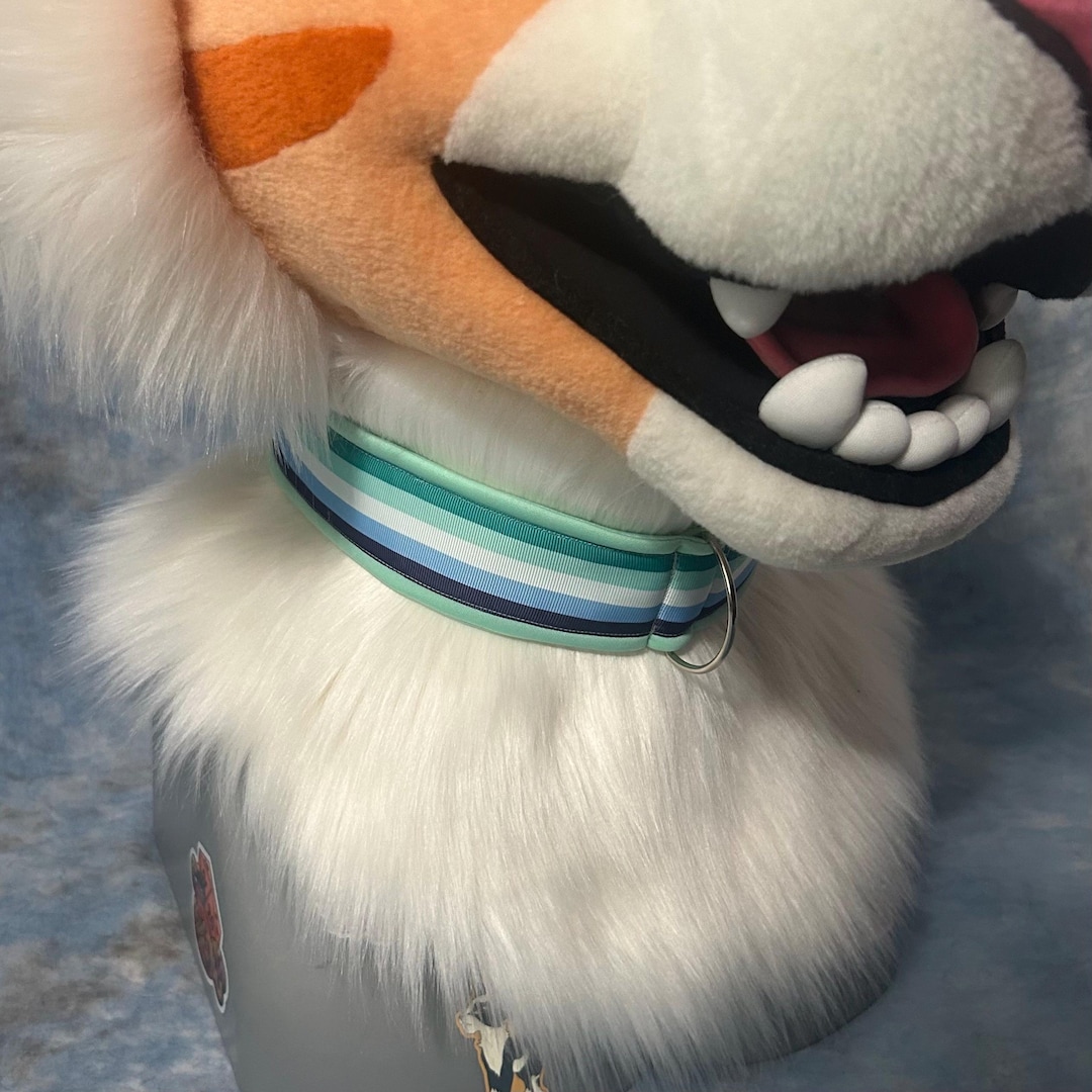Pride Fursuit Collars - Etsy