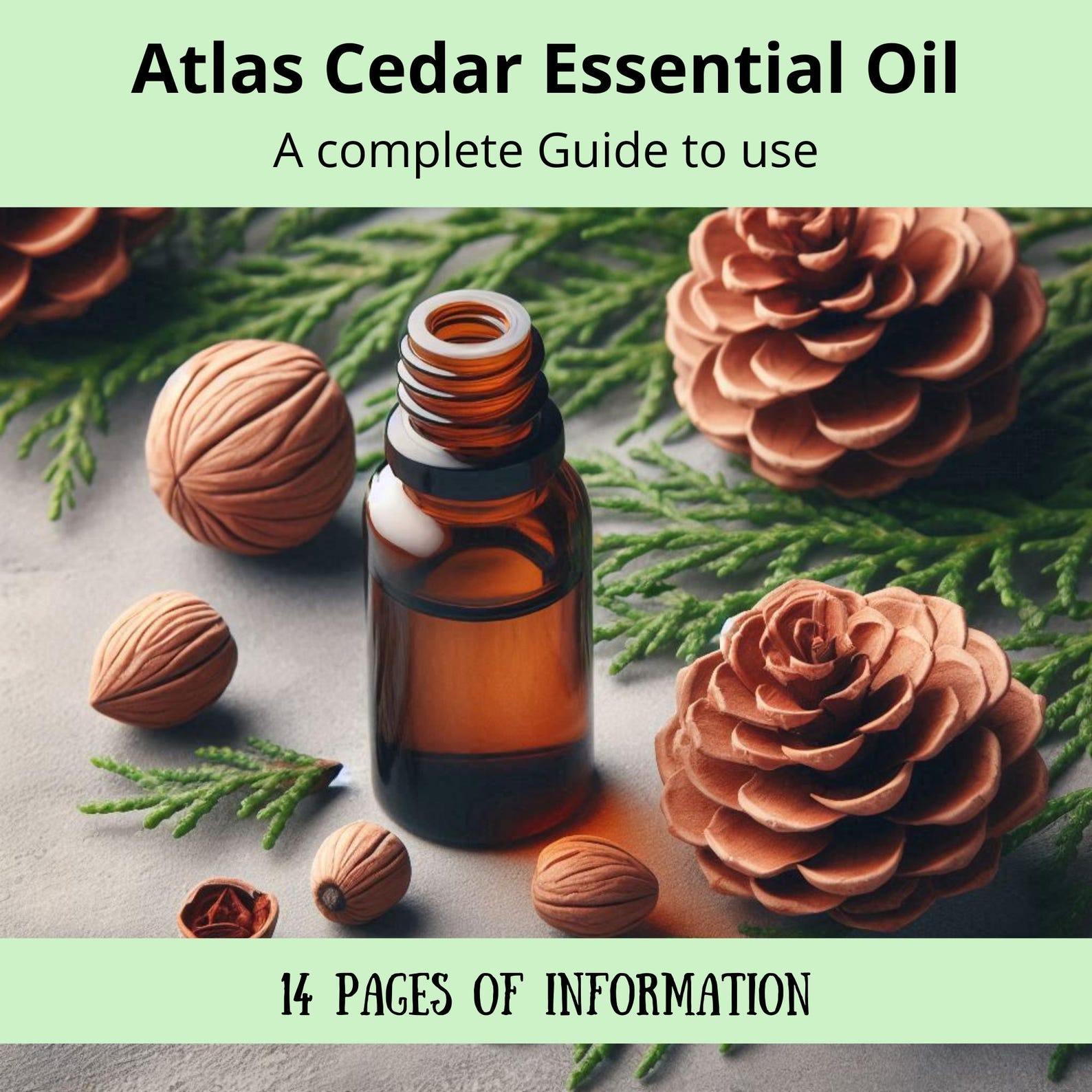 Atlas Cedar Essential Oil | Complete Guide to Cedar Essential Oil ...