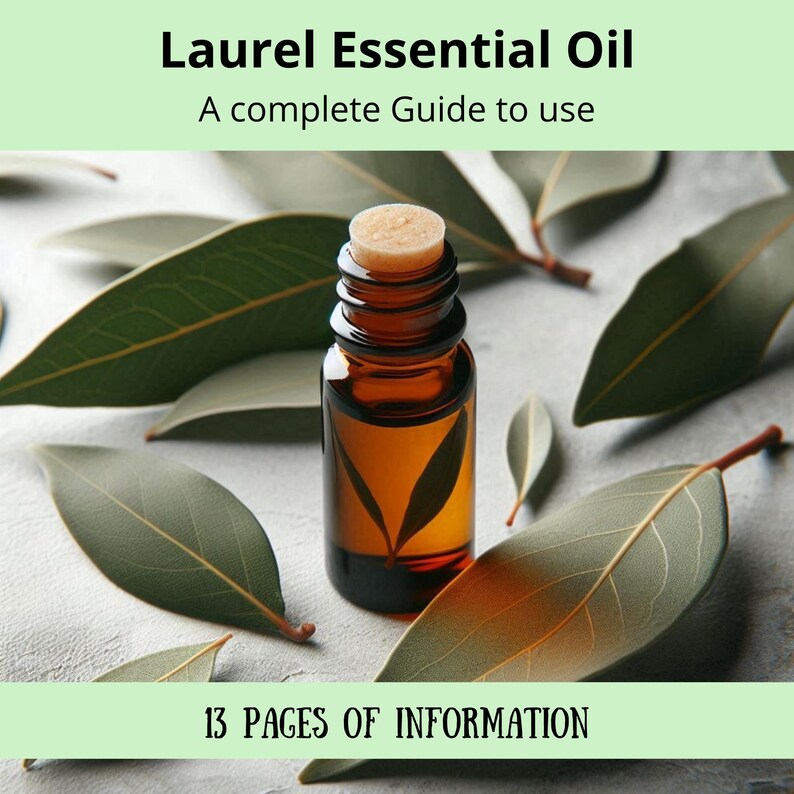 Laurel Essential Oil | Complete Guide to Bay Laurel Essential Oil ...